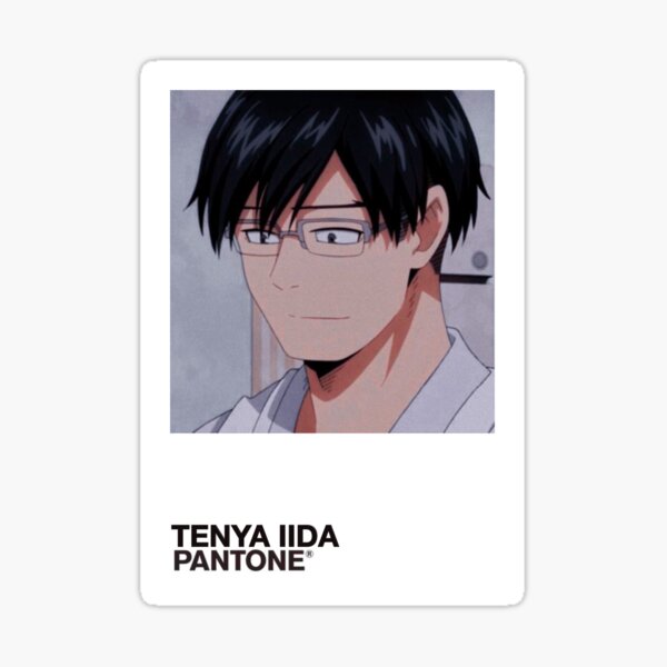 "Tenya Iida Color Swatch" Sticker for Sale by dayna5970 | Redbubble