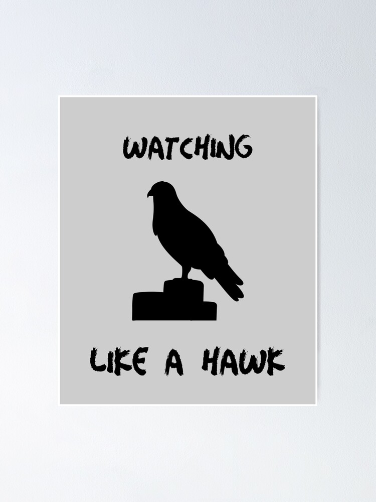 "Watching Like A Hawk" Poster for Sale by RAApparel | Redbubble