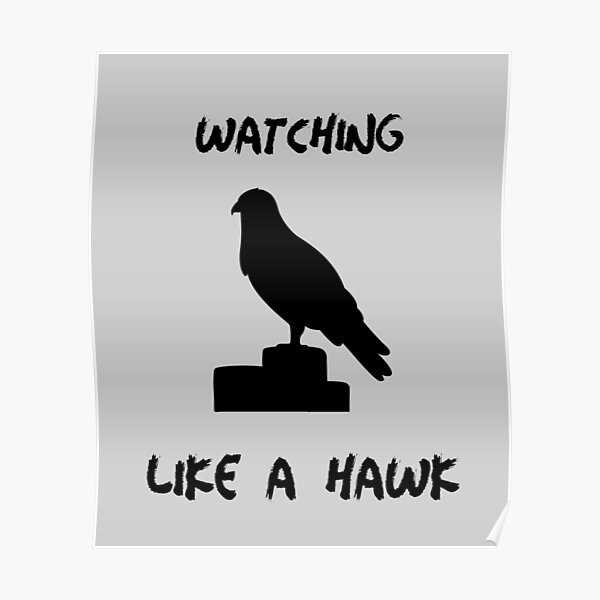 "Watching Like A Hawk" Poster for Sale by RAApparel | Redbubble