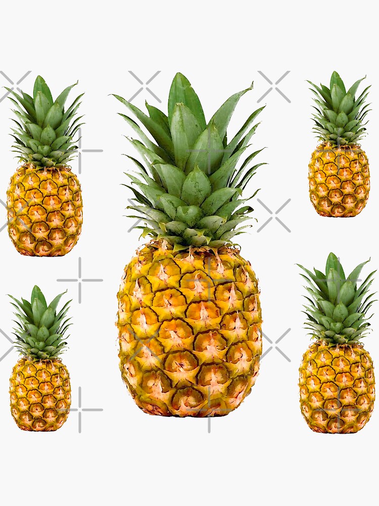 "Pineapples - sticker pack " Sticker for Sale by vinpez | Redbubble