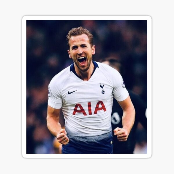 "harry kane" Sticker for Sale by josefani09 | Redbubble