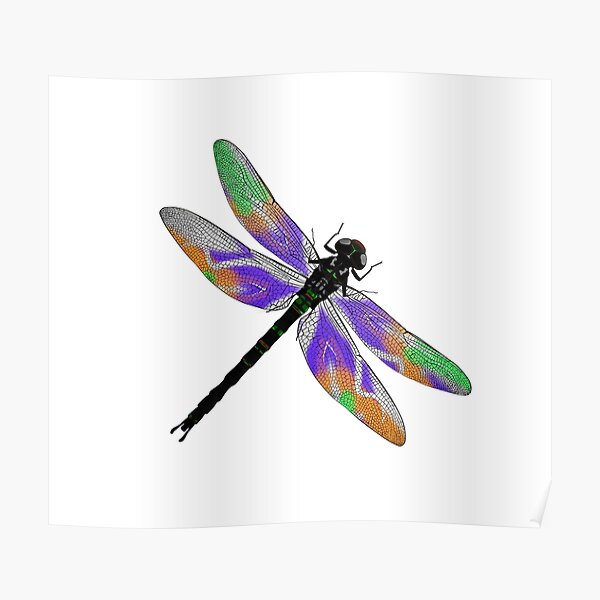 "Symmetrical Dragonfly" Poster for Sale by AylaVue | Redbubble