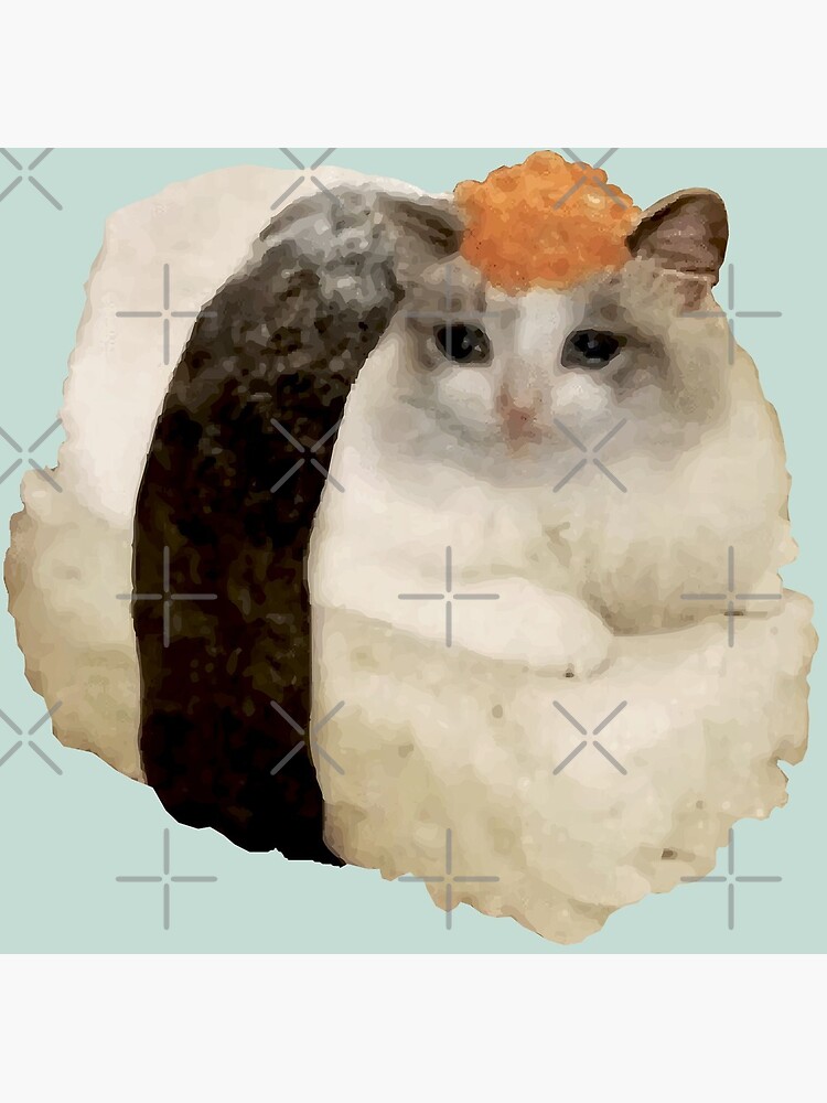 Gato Sushi Meme