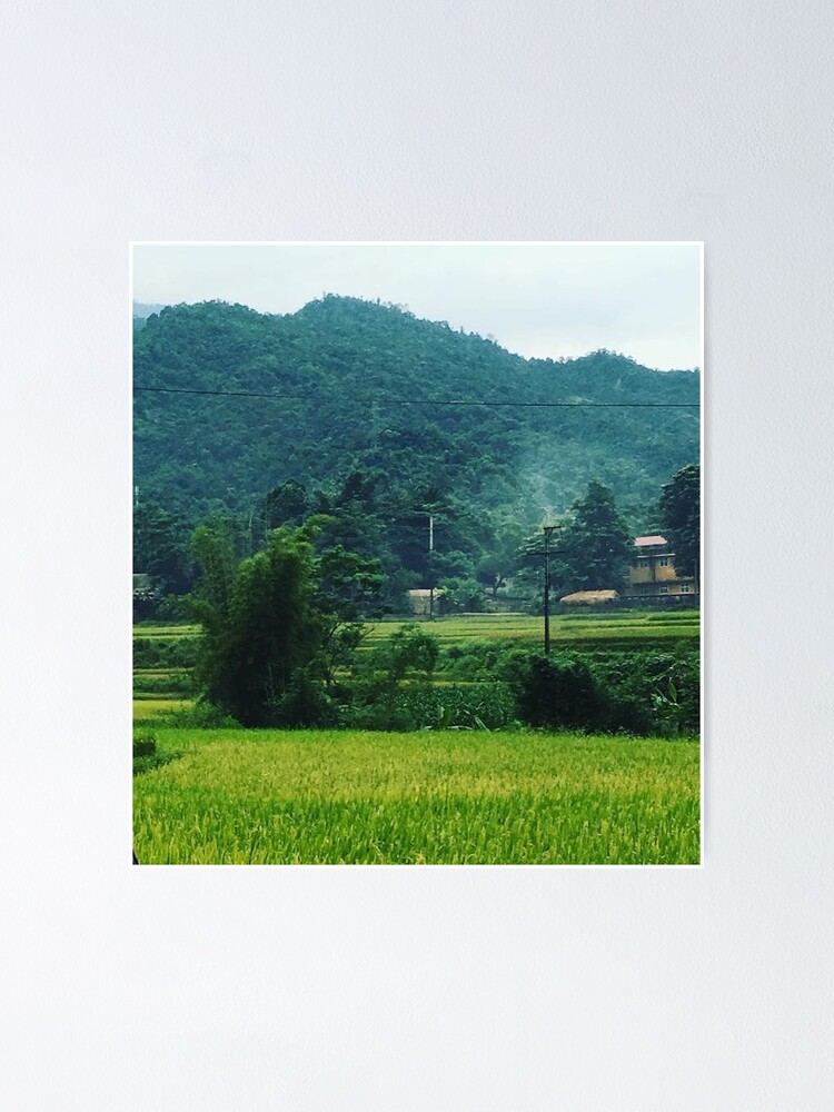 "Rice field" Poster for Sale by marisophie | Redbubble