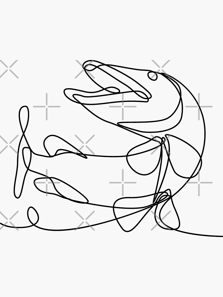 "Muskellunge Muskie Musky Esox Masquinongy or Lunge Jumping Up ...