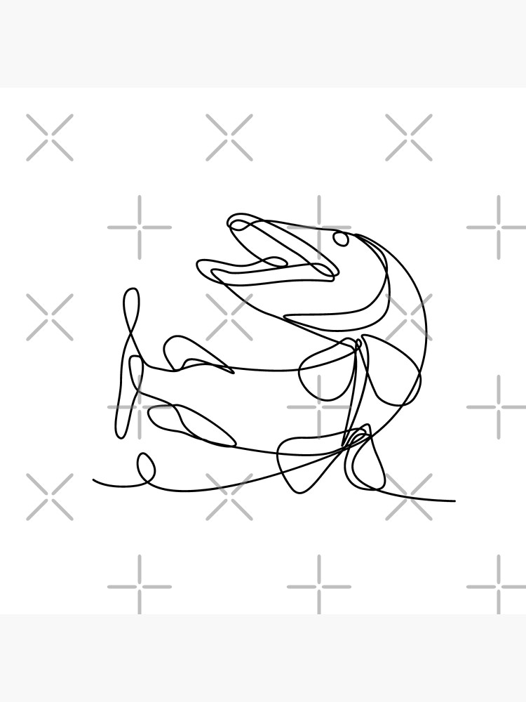 "Muskellunge Muskie Musky Esox Masquinongy or Lunge Jumping Up ...