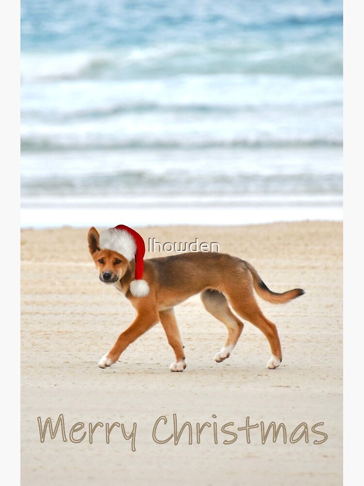 "Christmas Dingo" Greeting Card for Sale by lhowden | Redbubble