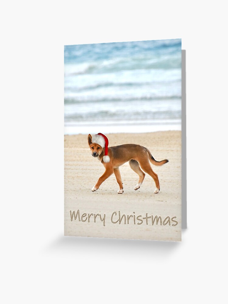 "Christmas Dingo" Greeting Card for Sale by lhowden | Redbubble