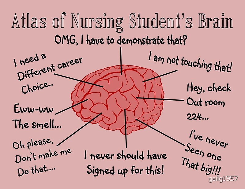 "Nursing Student's Brain" by Gail Gabel, LLC | Redbubble