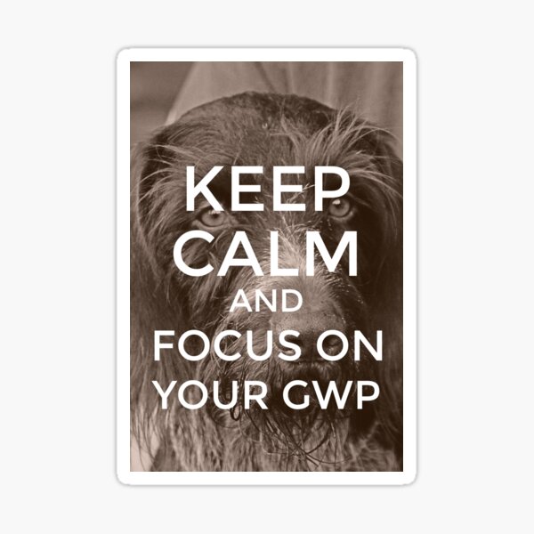 "Keep Calm And Focus On Your GWP" Sticker for Sale by UllaRuis | Redbubble