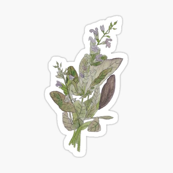 "Bunch of Sage" Sticker by sastokk | Redbubble
