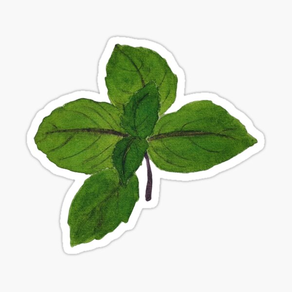 "Beautiful Basil" Sticker for Sale by sastokk | Redbubble