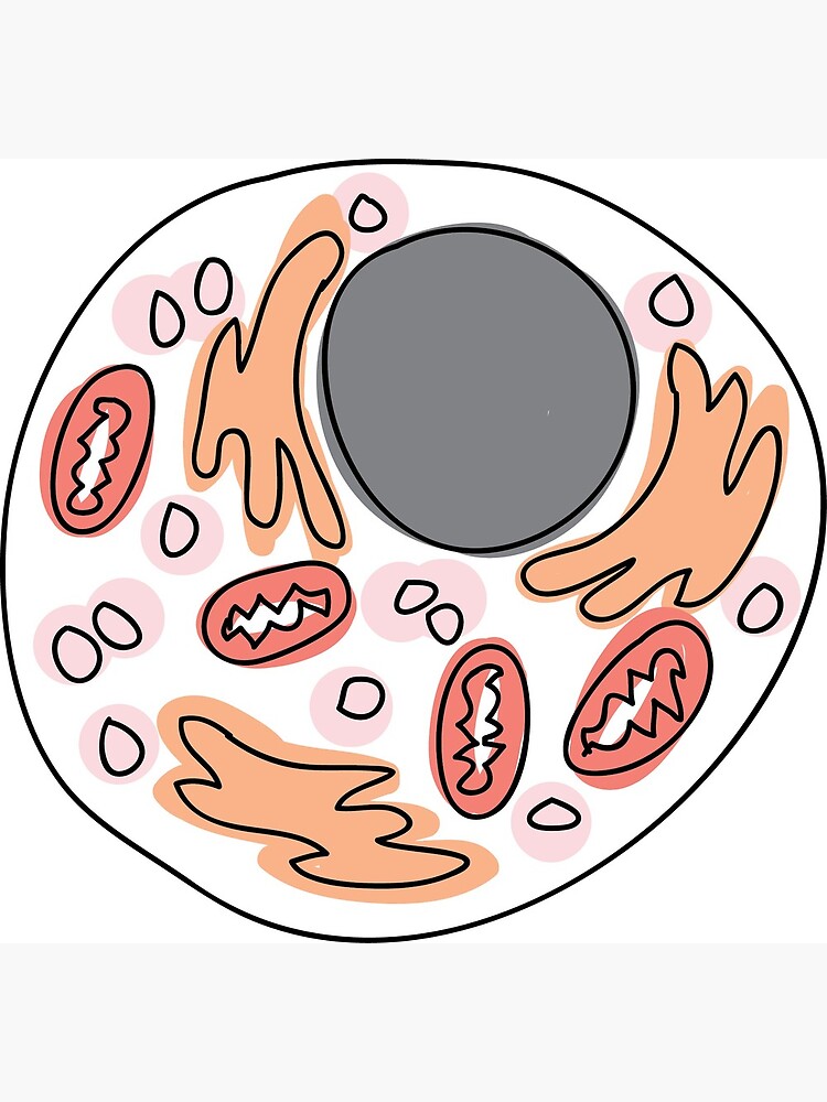 "Cell Mates: Animal Cell" Art Print by BiologyBubble | Redbubble