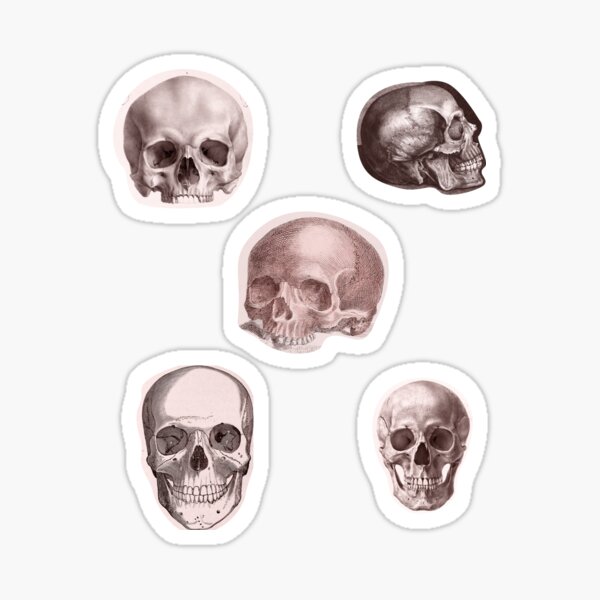 "Vintage Skulls 1800s" Sticker for Sale by iliketeas | Redbubble