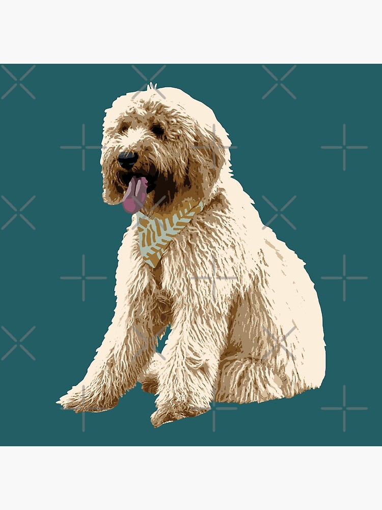 "Fuzzy Australian Labradoodle" Poster by CJS-Art | Redbubble