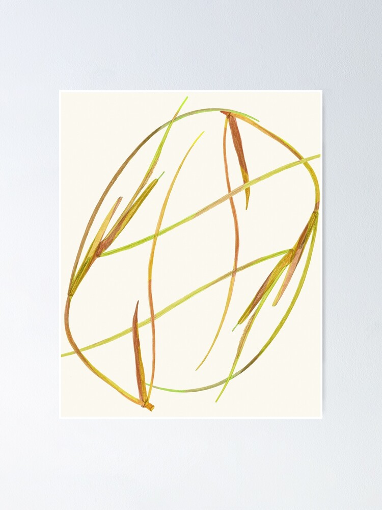 "Rhythm - organic shapes" Poster by anni103 | Redbubble