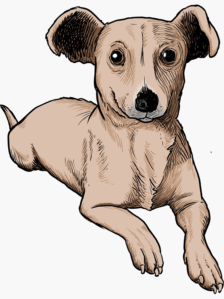 "Chiweenie" Sticker for Sale by Venture-Graphix | Redbubble