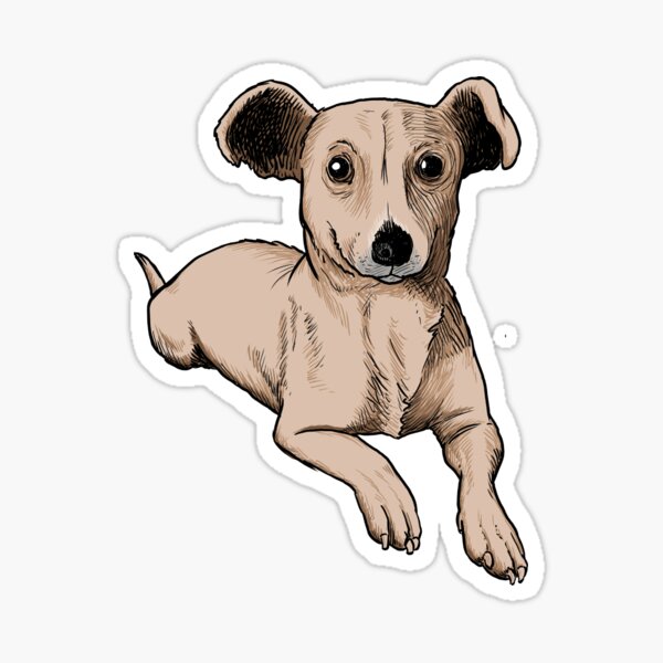 "Chiweenie" Sticker for Sale by Venture-Graphix | Redbubble