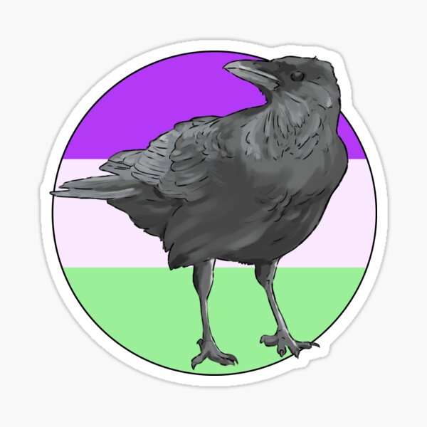 "genderqueer pride crow" Sticker for Sale by rrobinhood | Redbubble