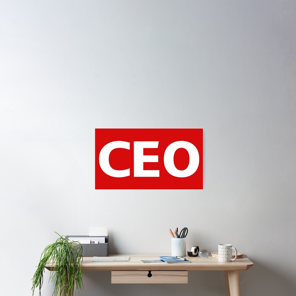"CEO Start-up kdrama (스타트업)" Poster for Sale by soulLight | Redbubble