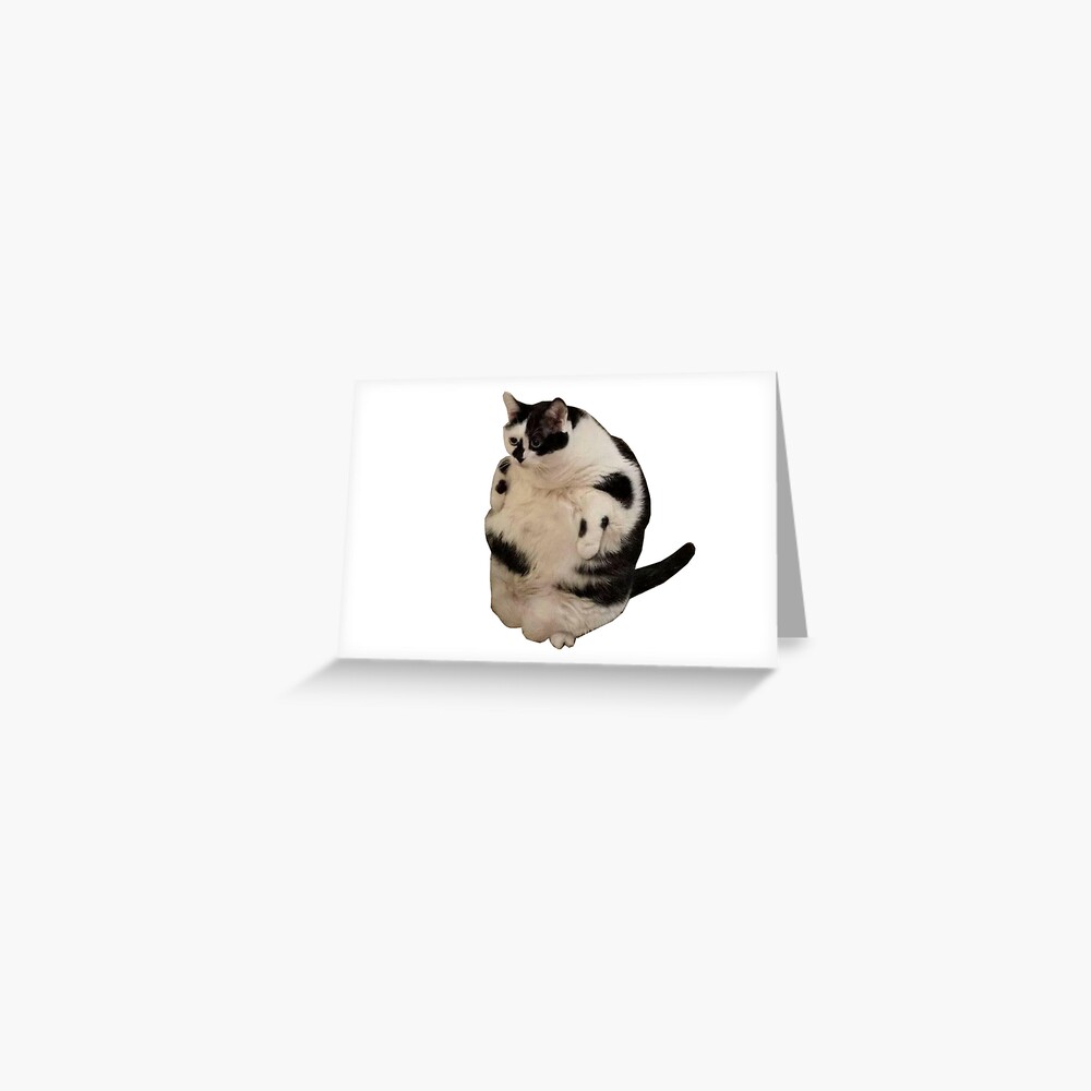 "Dummy Thicc Cat" Greeting Card for Sale by lodaxaprine | Redbubble