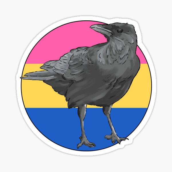 "pan pride crow" Sticker for Sale by rrobinhood | Redbubble