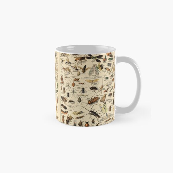"Insects in French" Coffee Mug for Sale by Michaela Grove | Redbubble