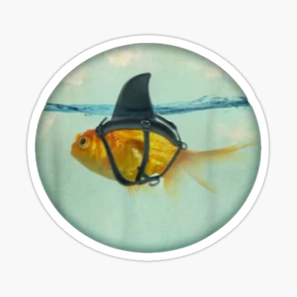 "Cute Goldfish with a Shark Fin Fashion" Sticker for Sale by ...