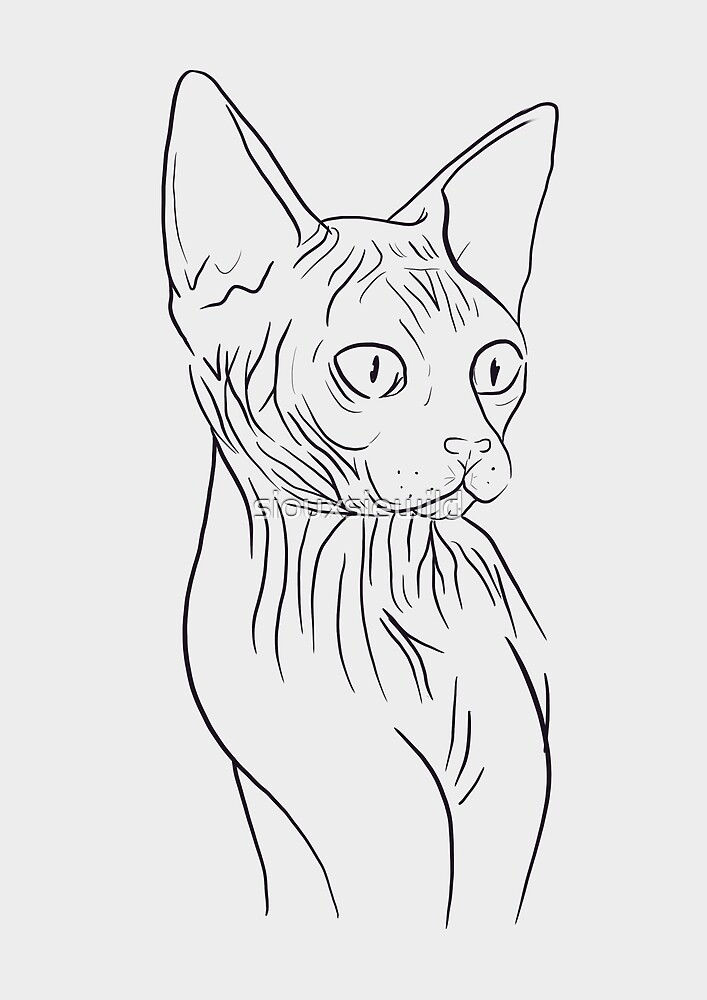 "Line drawing Sphynx " by Siouxsie Wild-cross | Redbubble