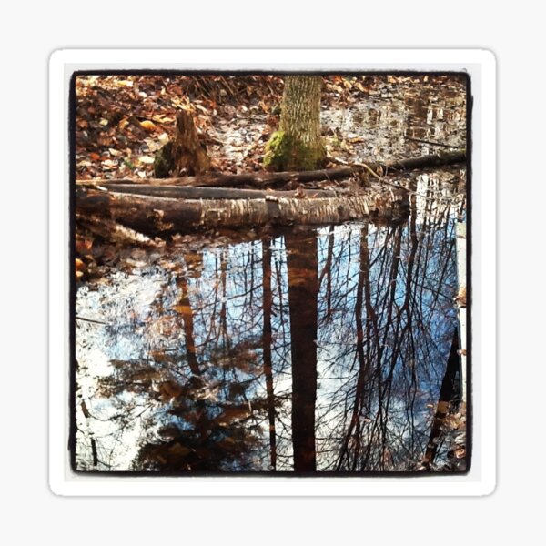 "Forest Puddle" Sticker by TheTiredMonk | Redbubble