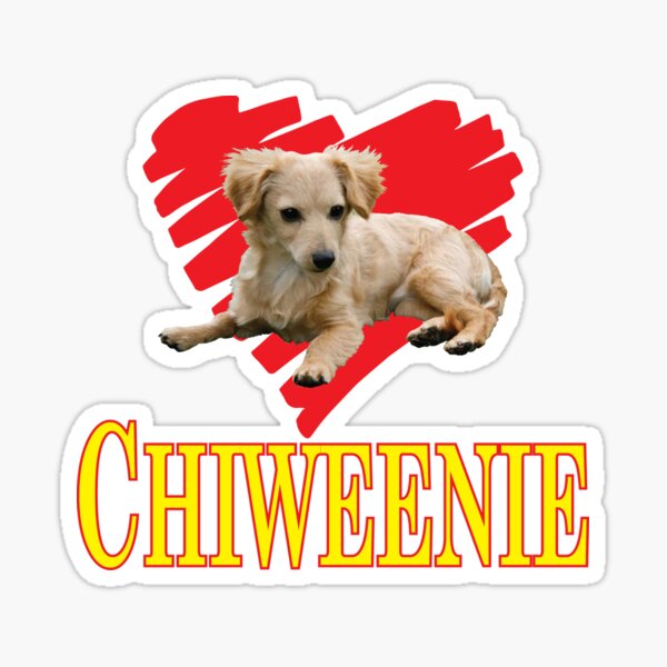 "Heart Chiweenie" Sticker by Venture-Graphix | Redbubble
