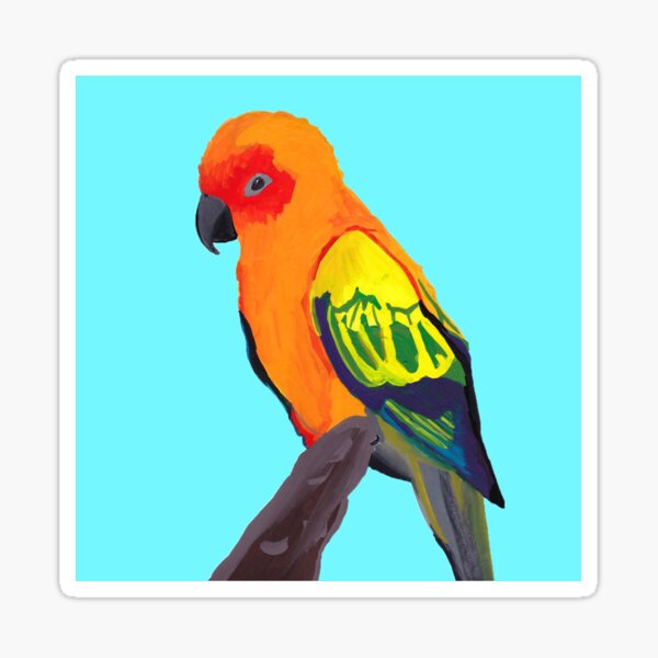 "Sun Conure Portrait " Sticker by matildabishop | Redbubble