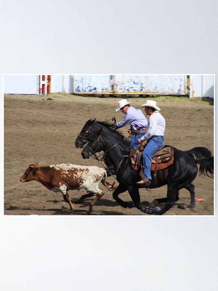 "Calf Roping" Poster by alycetaylor | Redbubble