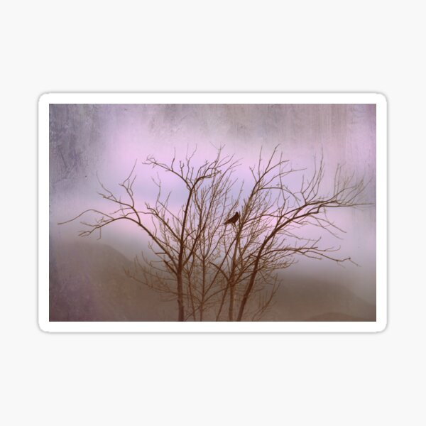 "driving through the fog" Sticker for Sale by mariannat | Redbubble
