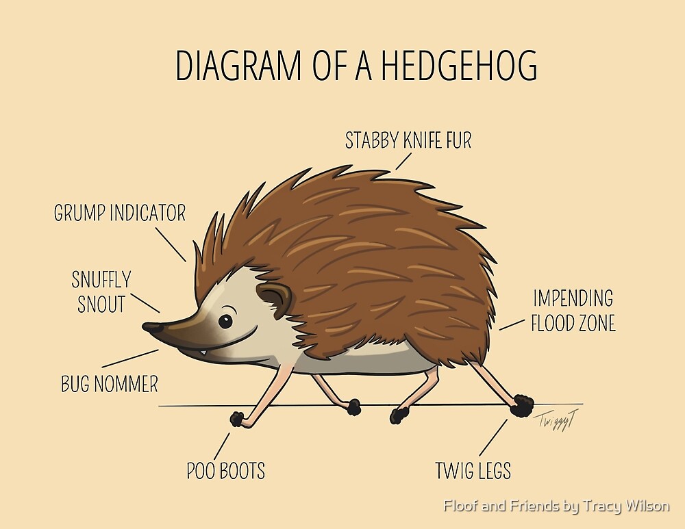 "Diagram of a Hedgehog" by Floof and Friends by Tracy Wilson | Redbubble