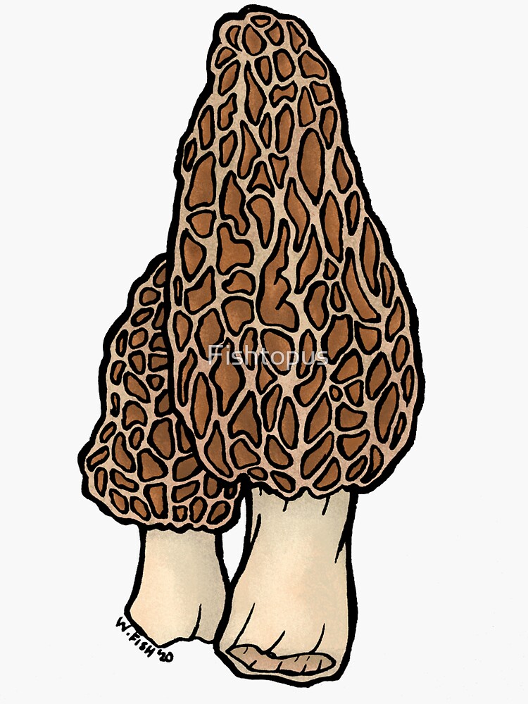 "morel mushroom" Sticker by Fishtopus | Redbubble