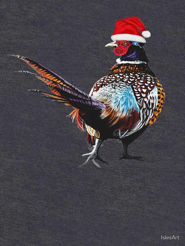 "Christmas Pheasant with Christmas hat - Festive pheasants - game bird ...