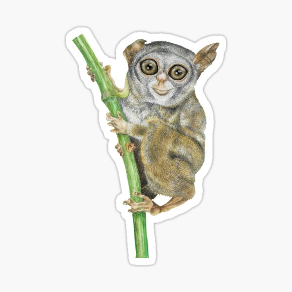 "PHILIPPINE TARSIER solo element" Sticker for Sale by NezHaines | Redbubble