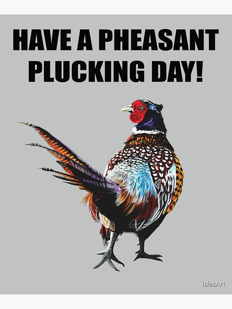 "HAVE A PHEASANT PLUCKING DAY fun slogan on a colourful pheasant design ...
