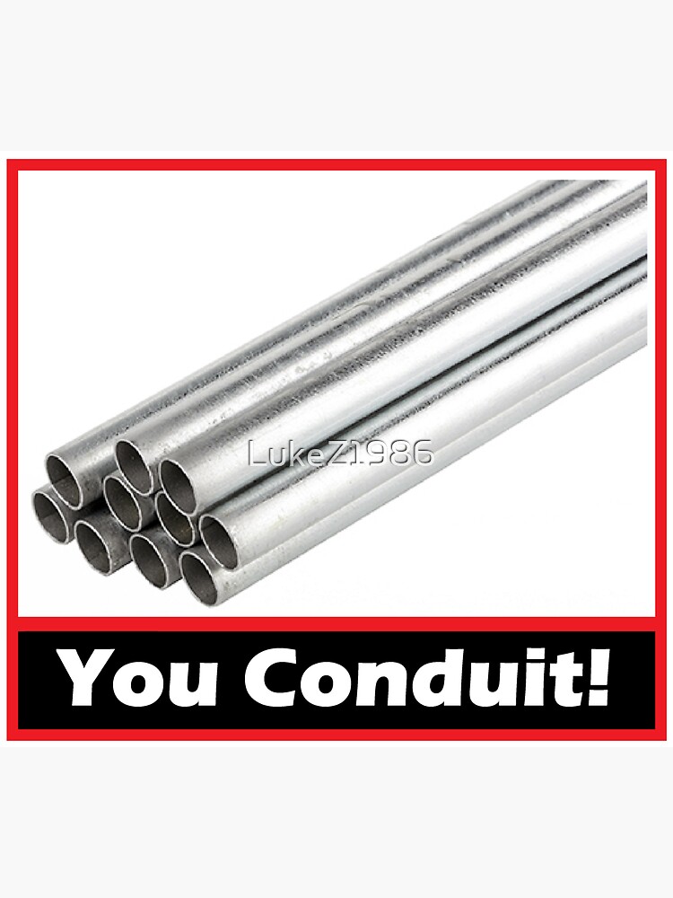 "You Conduit!" Sticker for Sale by LukeZ1986 | Redbubble