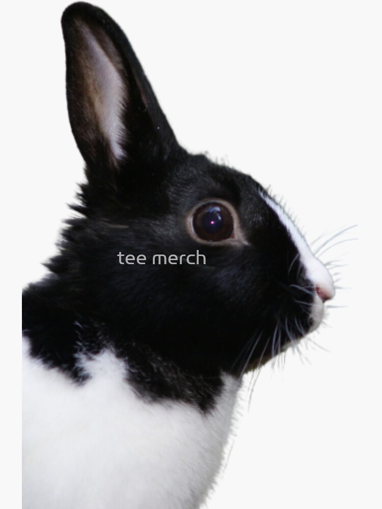 "black and white dutch rabbit photo without background" Sticker for ...