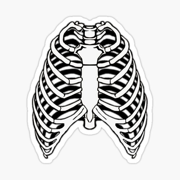 "RIB CAGE" Sticker for Sale by Swirlstache | Redbubble