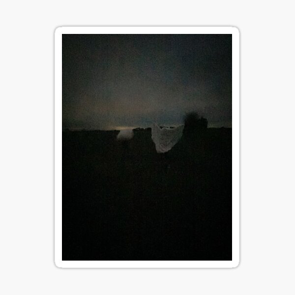 "Ghosts Vibing No.3 | Ghost Photoshoot" Sticker for Sale by abbie ...