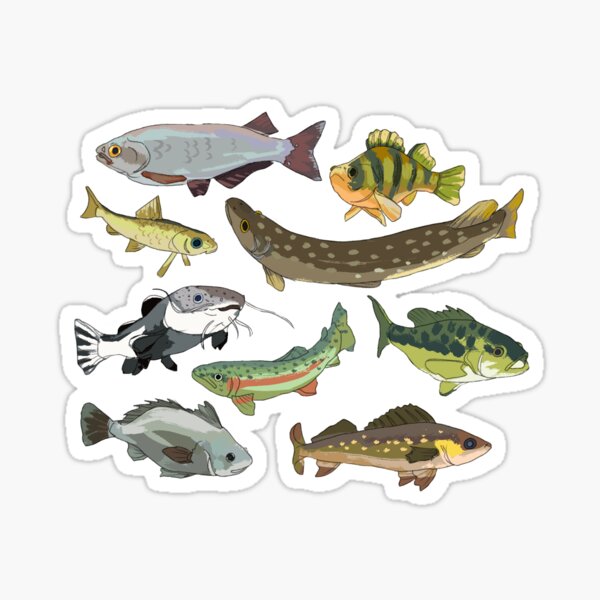 "Freshwater Fish" Sticker for Sale by dogplanet | Redbubble