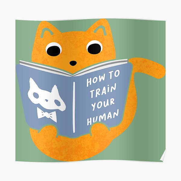 "How To Train Your Human" Poster by MorvernDesigns | Redbubble