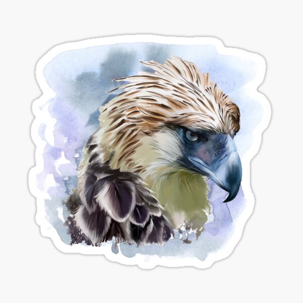 "Philippine Eagle" Sticker for Sale by RomantzArt | Redbubble