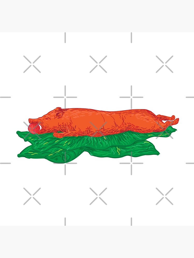 Lechon Drawing Lechon Kawali Vectors & Illustrations For Free Download
