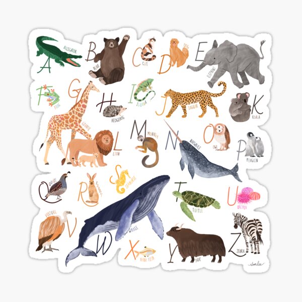 "Animal Alphabet" Sticker for Sale by sunleeart | Redbubble
