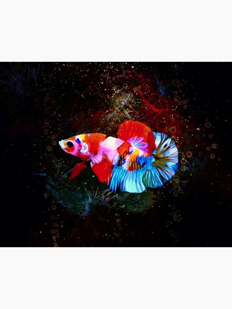"Candy Koi Nemo Betta Fish Aquatic Portrait " Sticker for Sale by ...