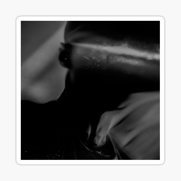 "LMF - Freeze Corleone" Sticker for Sale by IGREK-SHOP | Redbubble